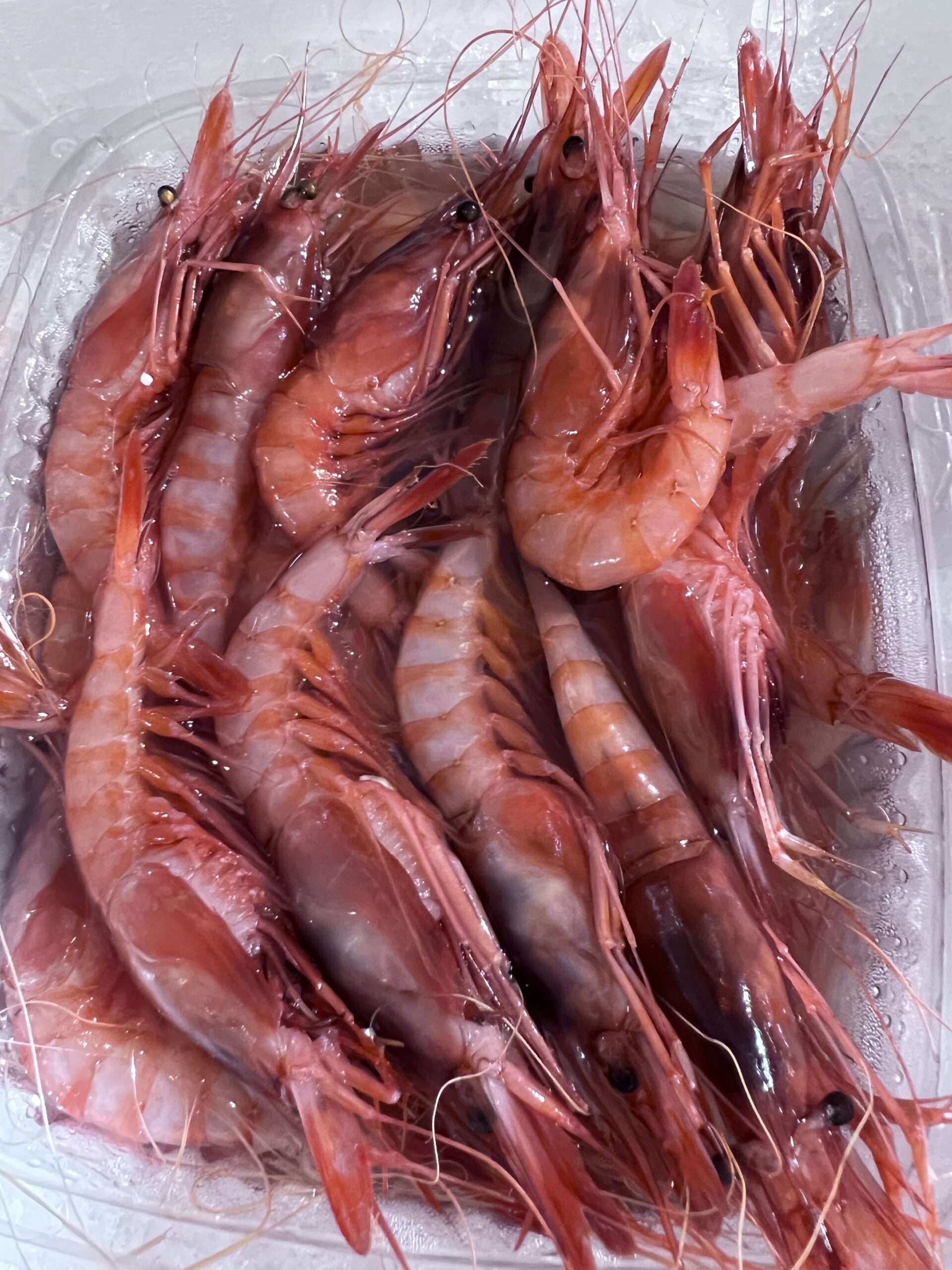 Discover the Delights of กุ้งสเปน - A Culinary Journey from Spain ...