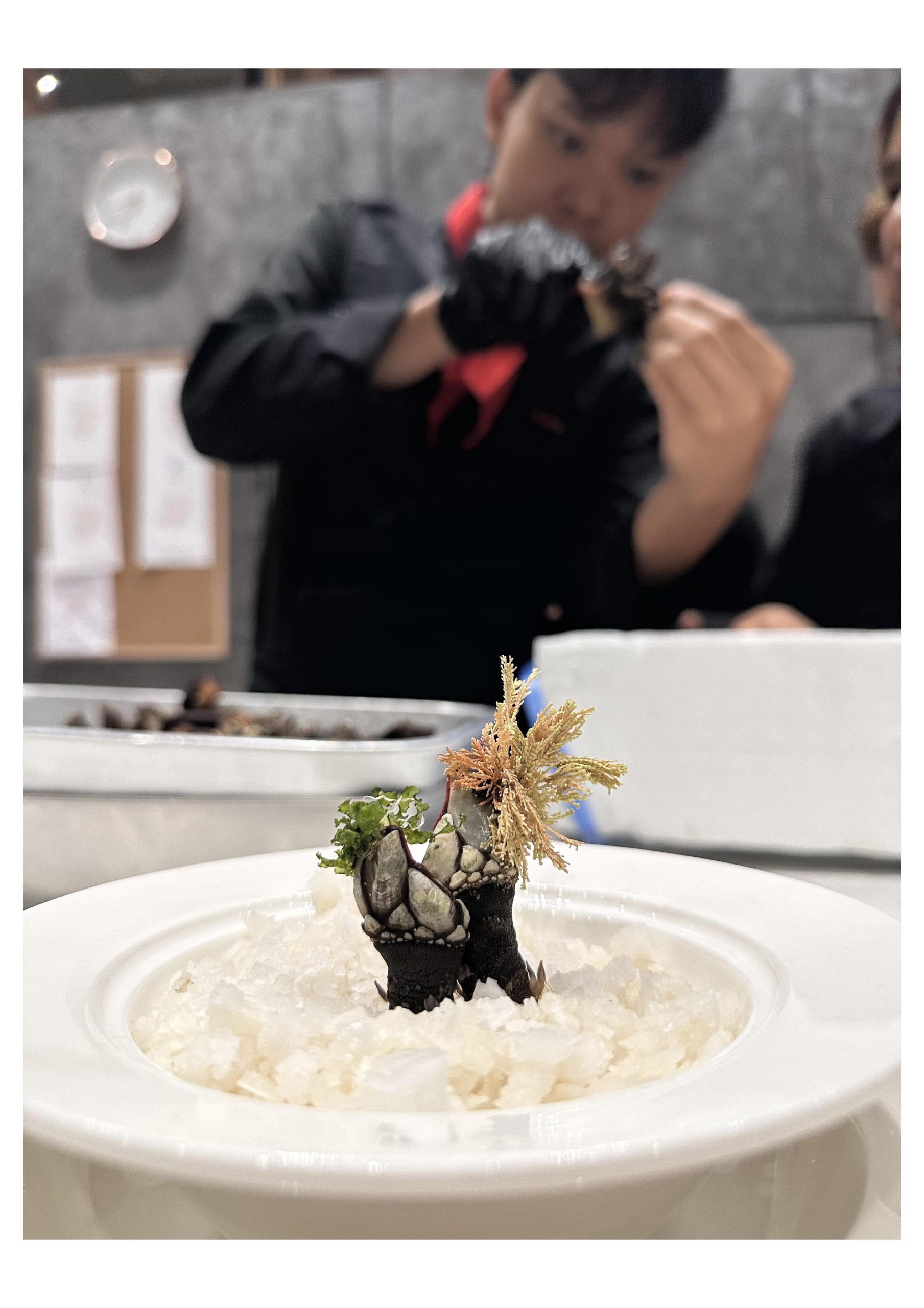 Goose Barnacle: Culinary Treasure of Galicia - SOPA Restaurant