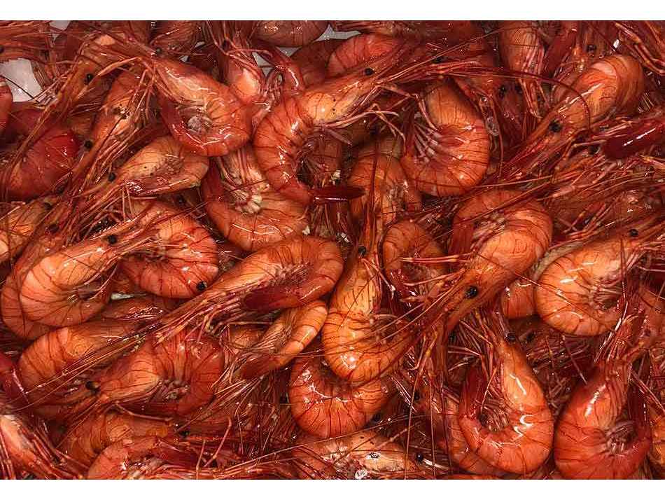 Discover the Delights of กุ้งสเปน - A Culinary Journey from Spain ...