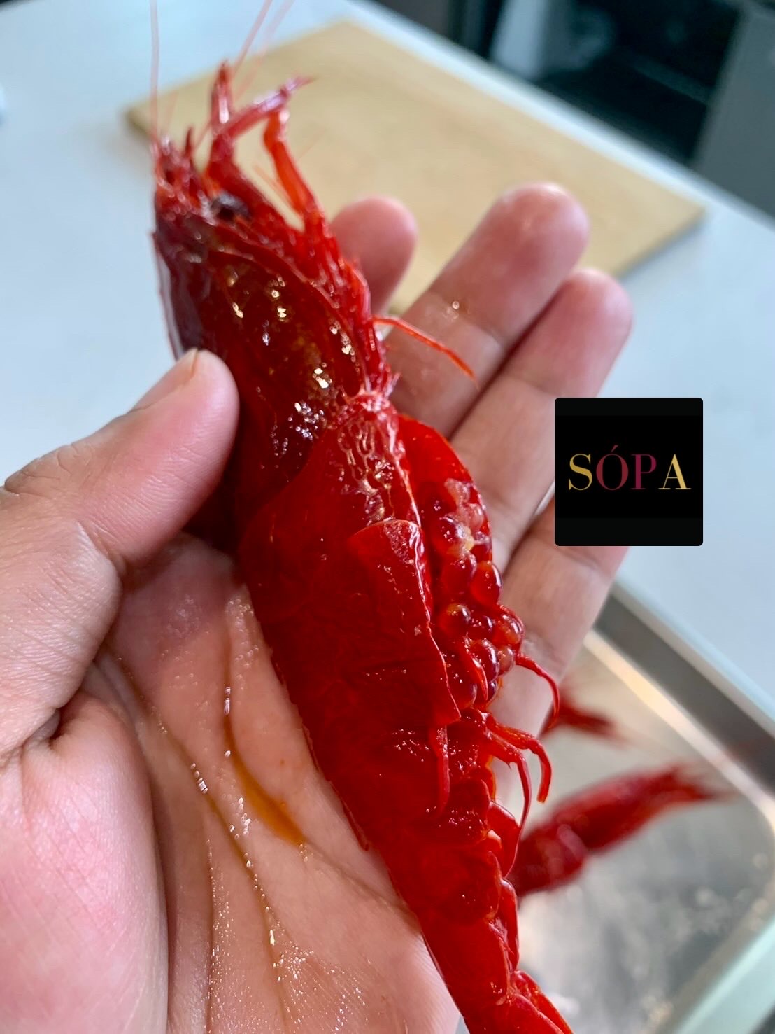 Camaron Rojo Bangkok – กุ้งแดงสเปนและไข่กุ้งหายากที่ Sopa